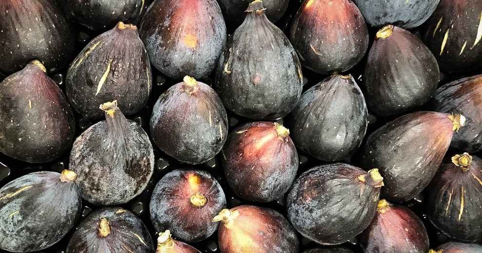 La figue, le fruit star de l’été indien | MiN de Nantes